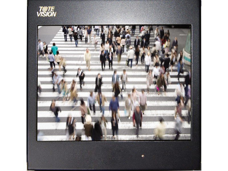 Totevision: LED-1002HDX - Van Cleve & Associates